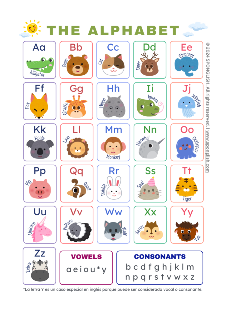 Abecedario en inglés con imágenes - Ficha educativa - SPONGLISH
