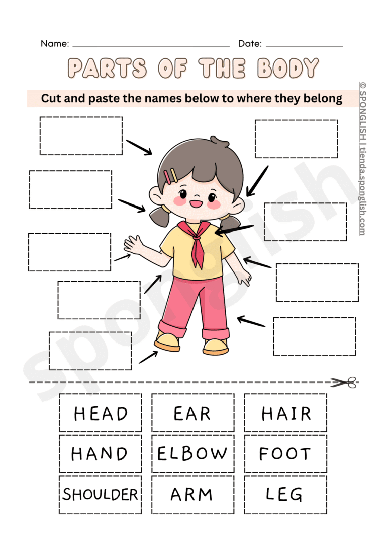 Parts of the body - Cut and Paste Worksheet - SPONGLISH